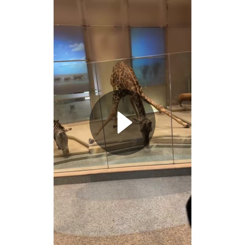 joe.sadowski | Spotlight on Snapchat