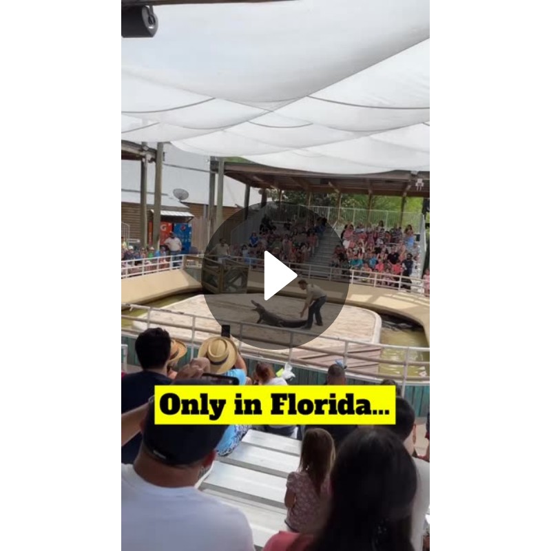 Only in Florida… | Spotlight on Snapchat