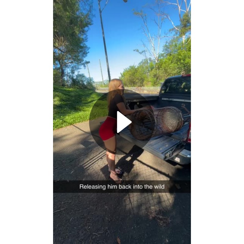 Releasing him back into the wild | Spotlight on Snapchat