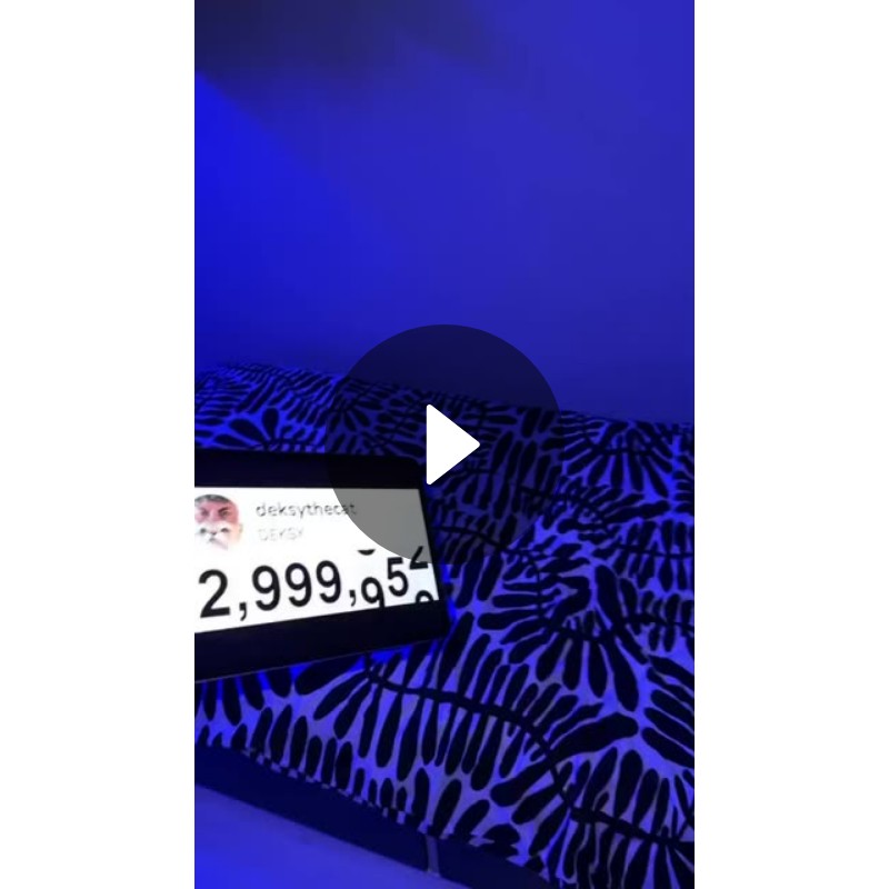 deksy_cat | Spotlight on Snapchat