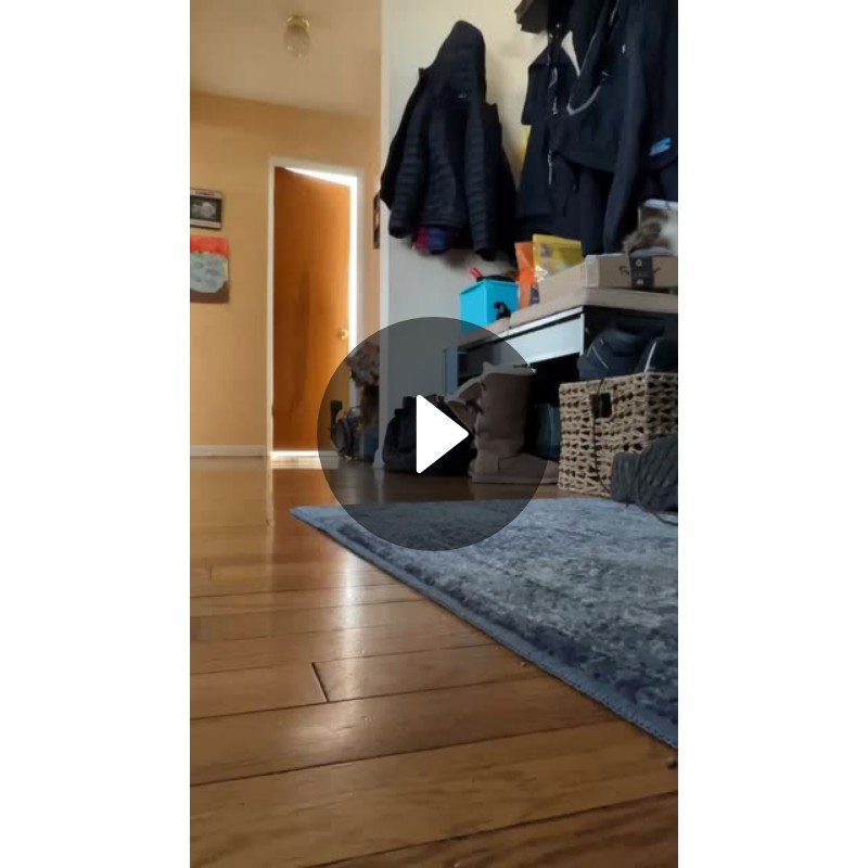 cora_puppets | Spotlight on Snapchat