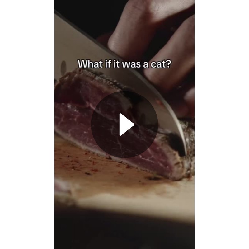 meat.immoral | Spotlight on Snapchat