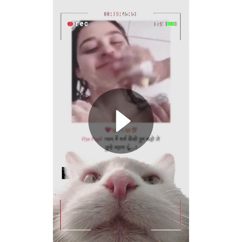 How To Create A Viral Split-Screen TikTok With Your Cat | Video by ...