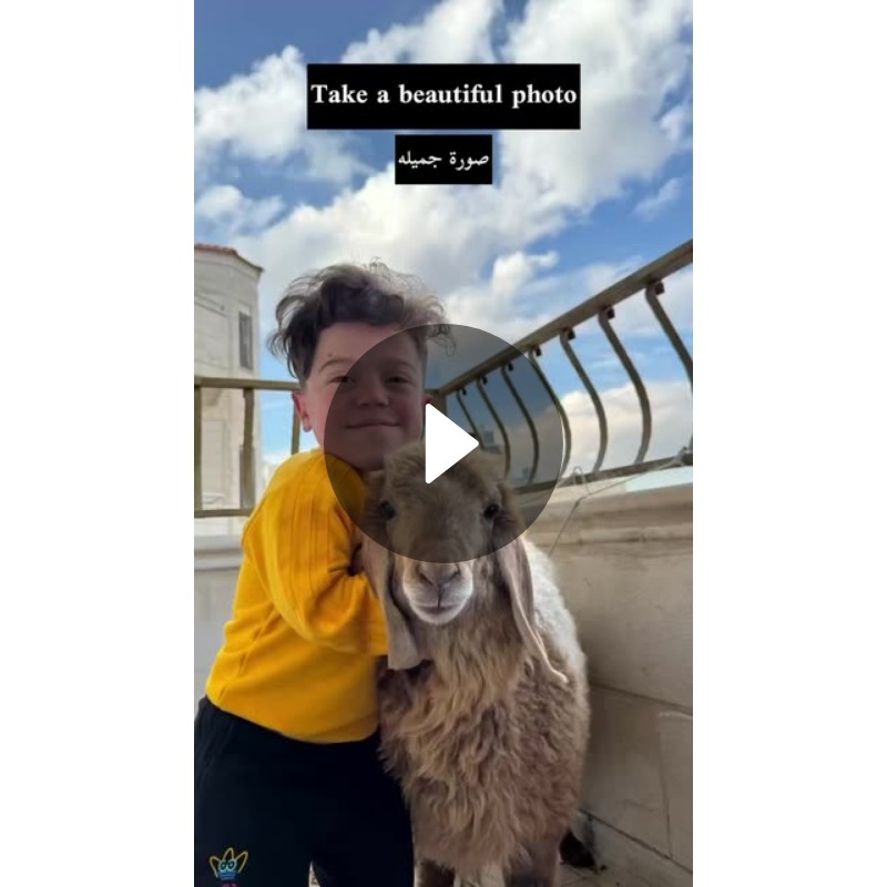 yz.yahea | Spotlight on Snapchat