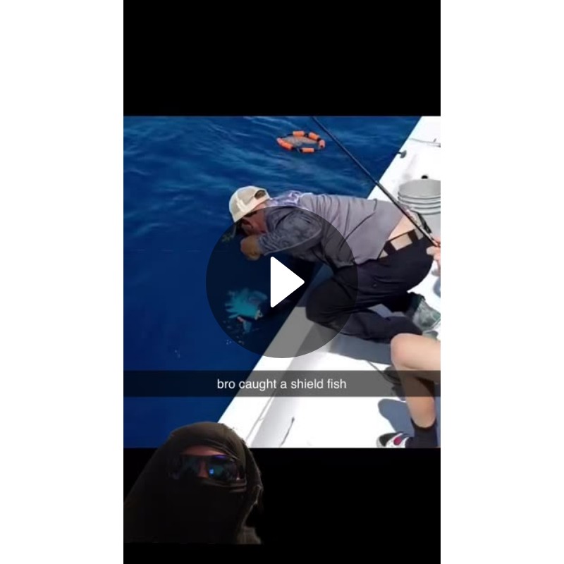 bro caught a shield fish | Spotlight on Snapchat