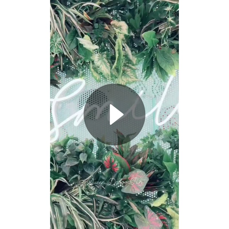 queendaroofanpa | Spotlight on Snapchat