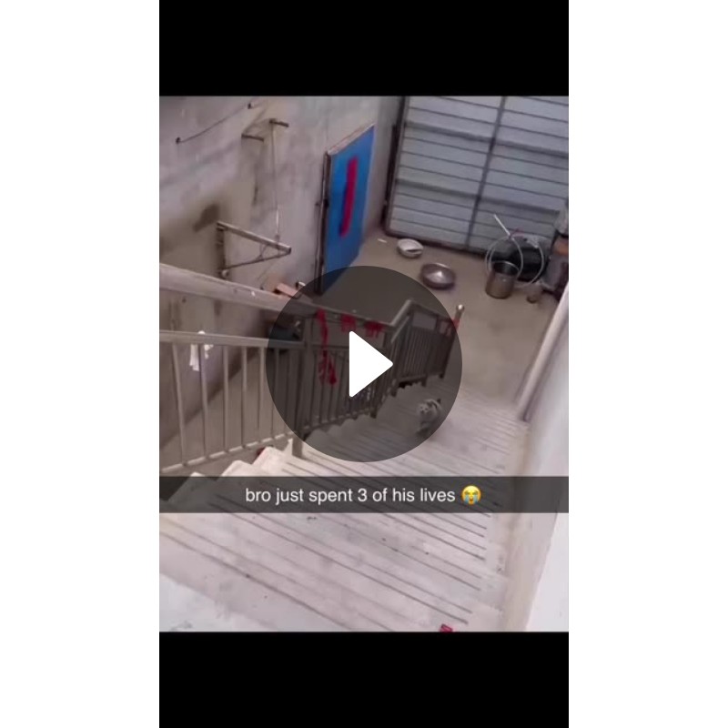 bro just spent 3 of his lives 😭 | Spotlight on Snapchat