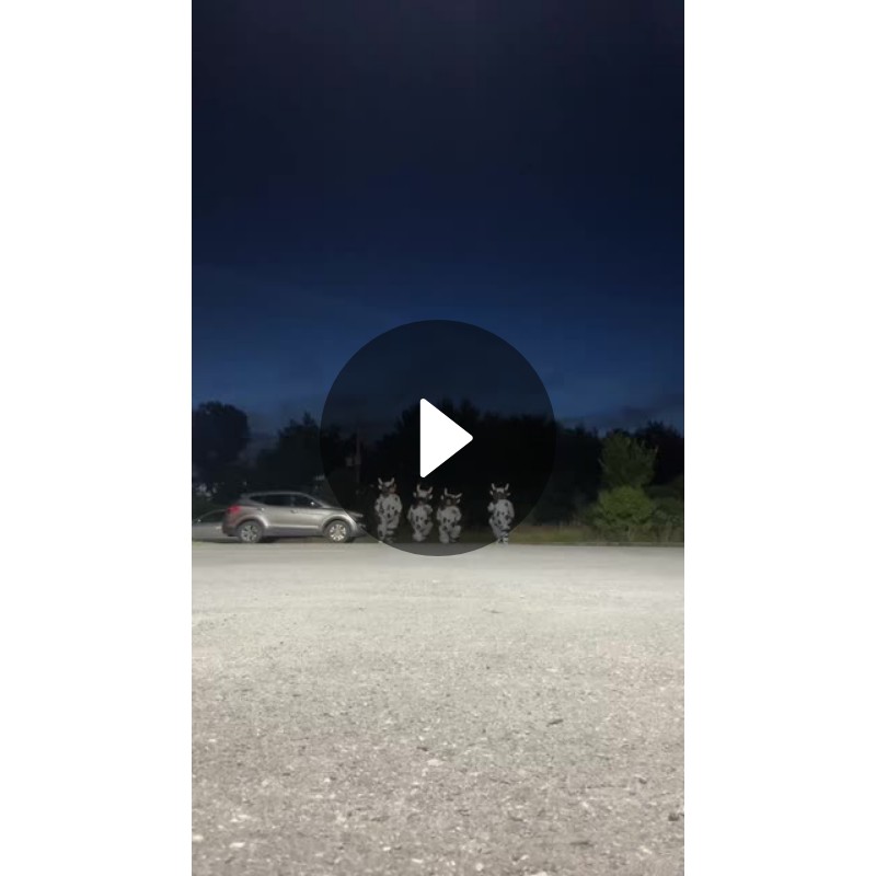 Four People in Cow Costumes Dance in Parking Lot | Video by Alibaba 💫 ...