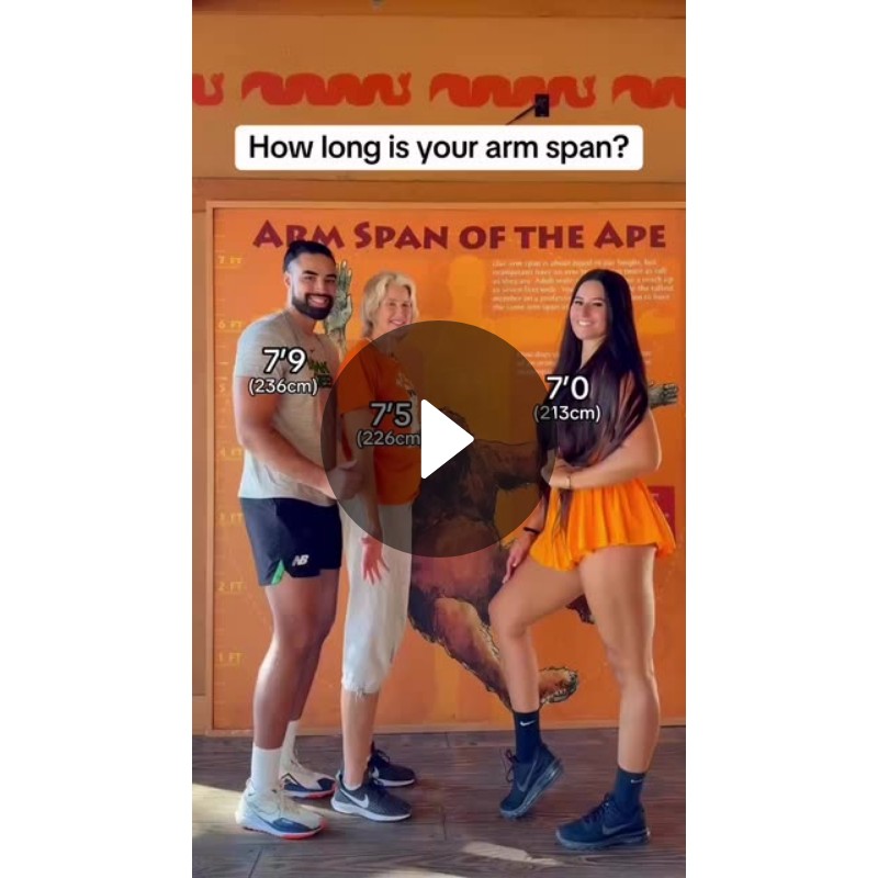 How long is your wingspan?😳 #tall #family | Marie Temara (@marietemara ...