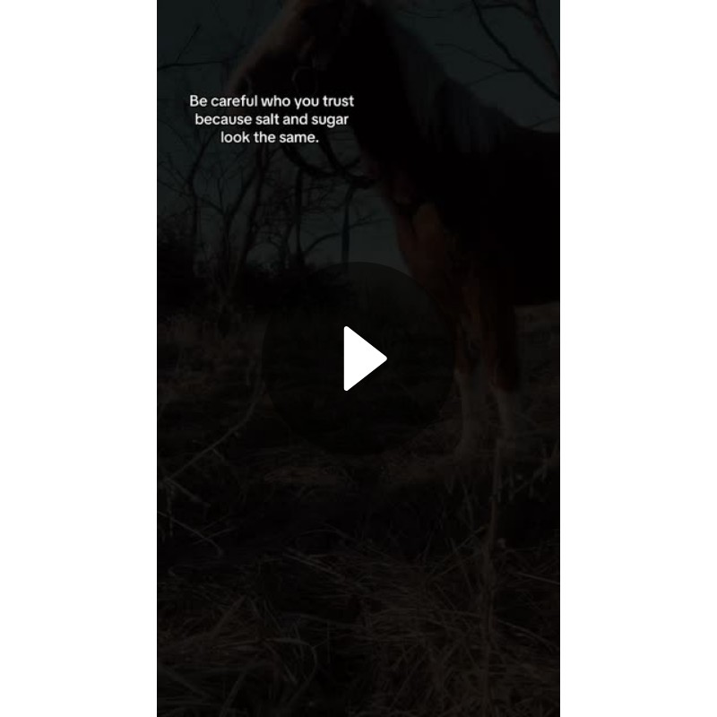 ellee_wheeldon | Spotlight on Snapchat