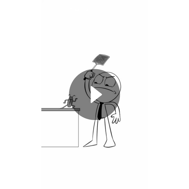 nutshellsnap | Spotlight on Snapchat