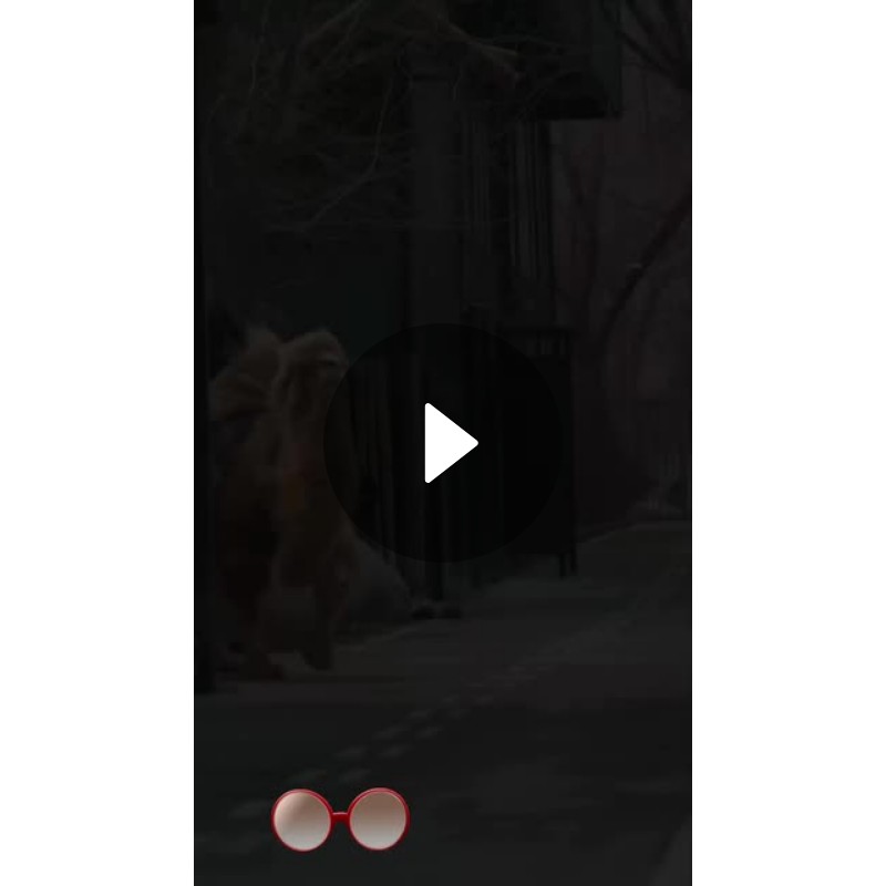 coach_driving | Spotlight on Snapchat