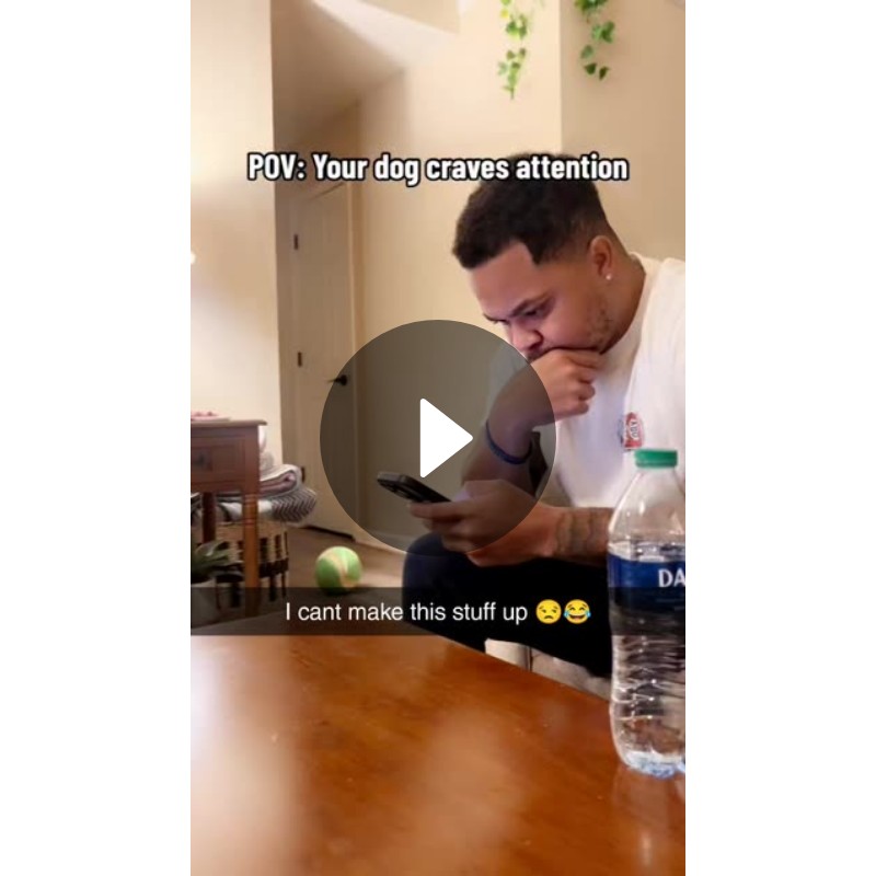 I cant make this stuff up 😒😂 | Spotlight on Snapchat