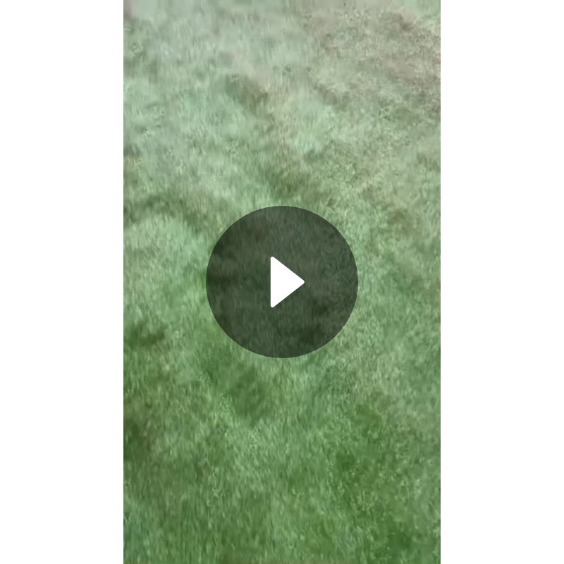 raaed.115 | Spotlight on Snapchat