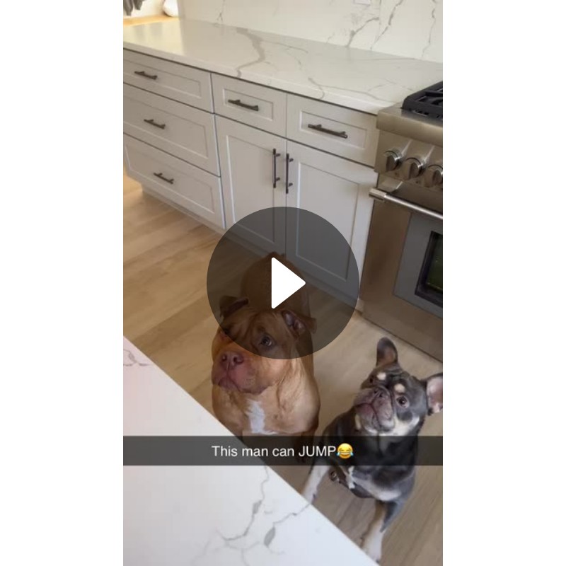 This man can JUMP😂 | Spotlight on Snapchat