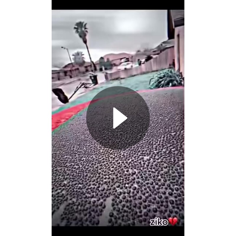 Spotlight on Snapchat