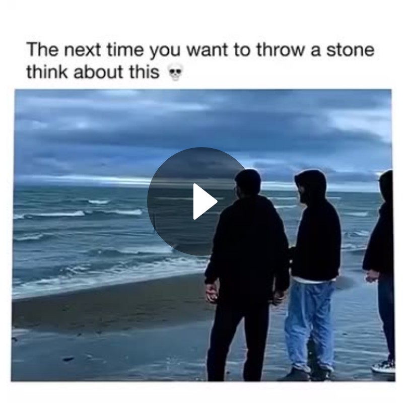 harry.isaac | Spotlight on Snapchat