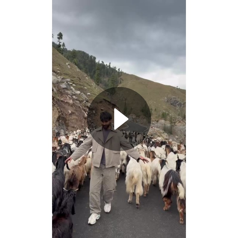 cherrysin98 | Spotlight on Snapchat