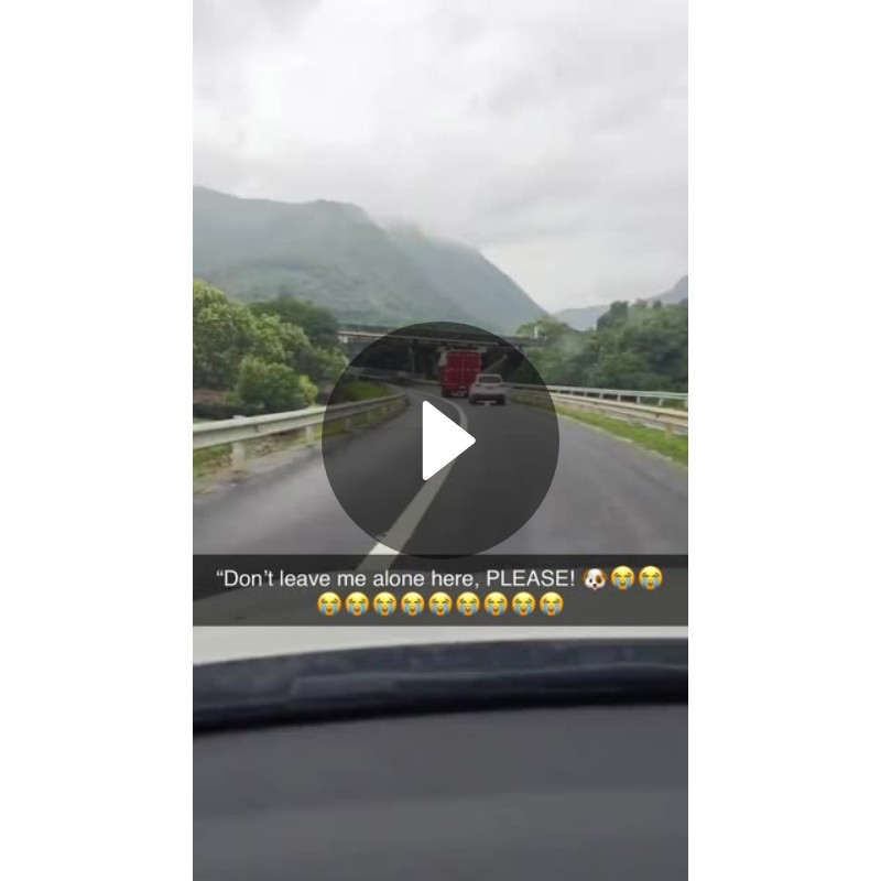 “Don’t leave me alone here, PLEASE! 🐶😭😭😭😭😭😭😭😭😭😭😭 | Spotlight on Snapchat