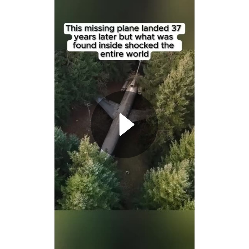 Missing plane landed after 37 years later #story #storytime #viralviedo ...