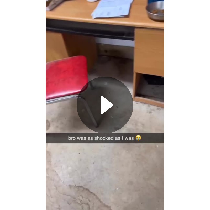 #memes | #meme | Spotlight on Snapchat