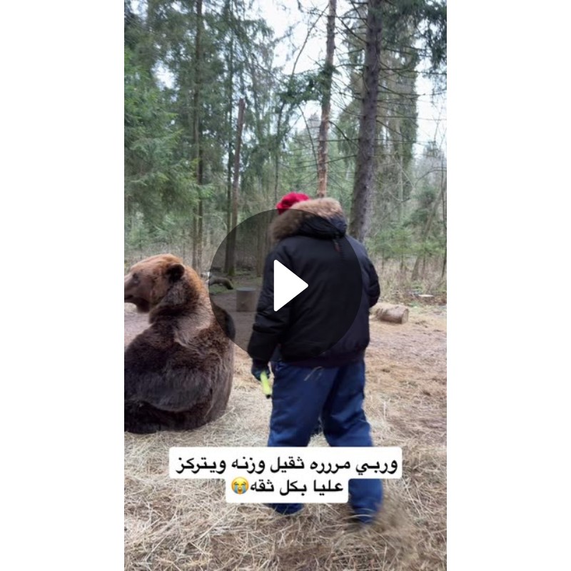 Woman in Red Coat Plays with Giant Bear in Forest | Maram Beeko⚡️ (@ana ...