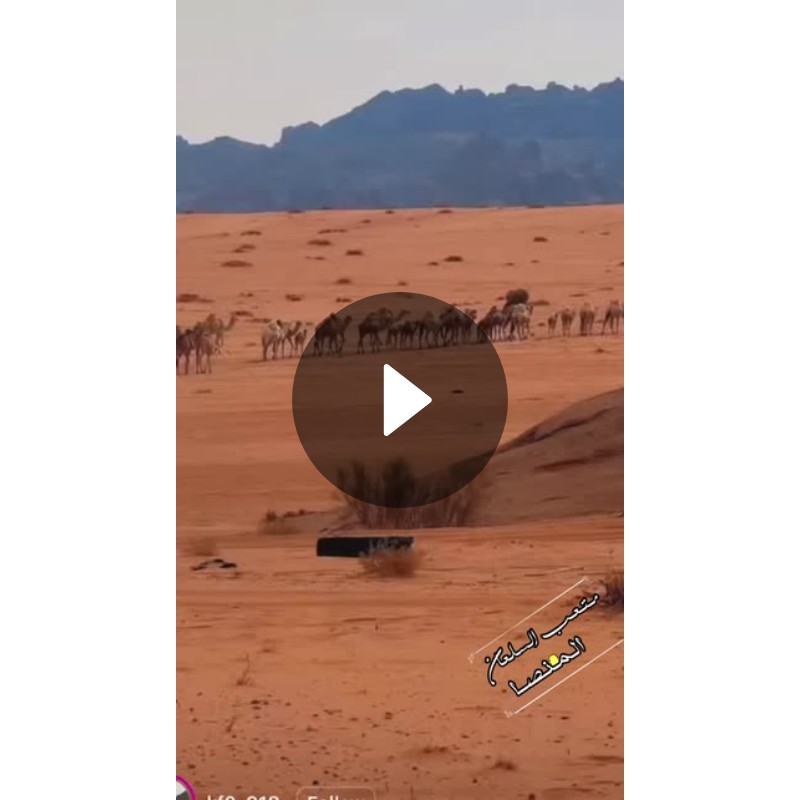 meteb_alselaan | Spotlight on Snapchat