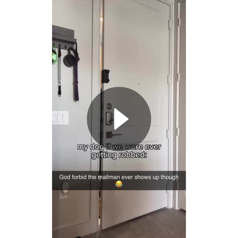God forbid the mailman ever shows up though 😂 | Spotlight on Snapchat