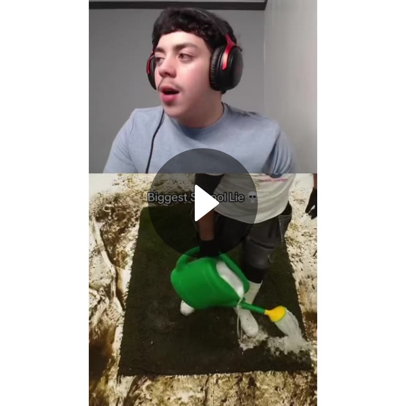 itsreallyya1 | Spotlight on Snapchat