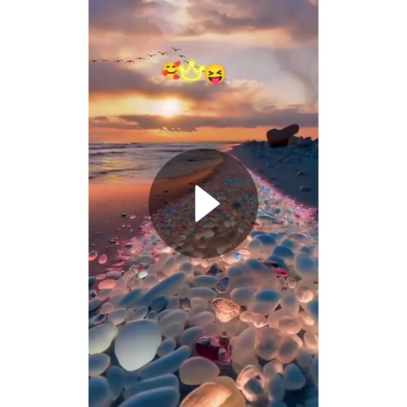 user439547389 | Spotlight on Snapchat