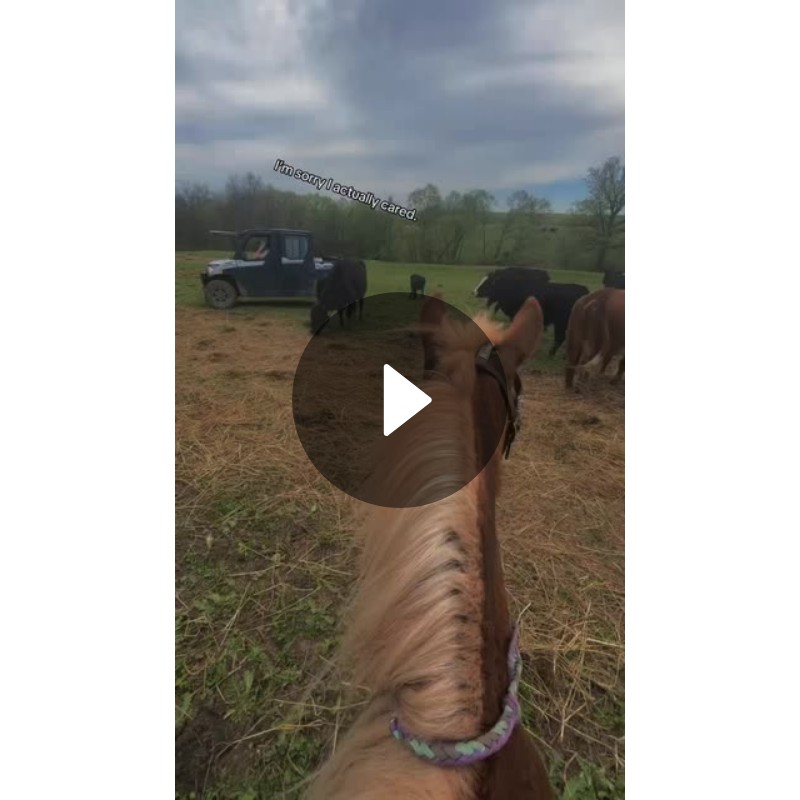 ellee_wheeldon | Spotlight on Snapchat