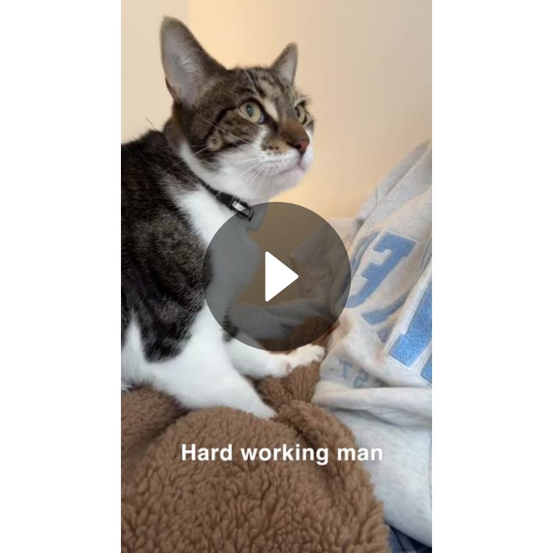 Hard working man | Spotlight on Snapchat