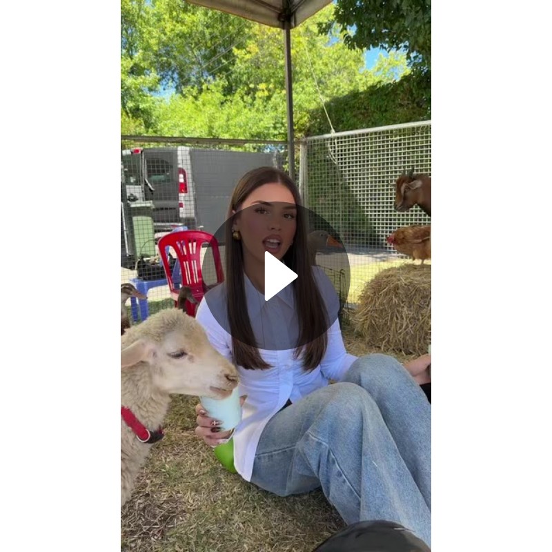 Leah Halton's Farm Animal Adventure: Meet the Sheep, Chickens, Goats ...