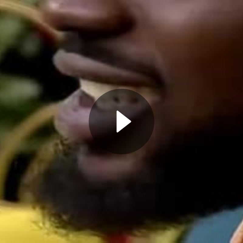 codemicky | Spotlight on Snapchat