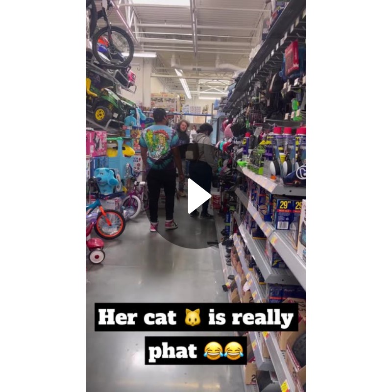 Her cat 🐱 is really phat 😂😂 | Spotlight on Snapchat