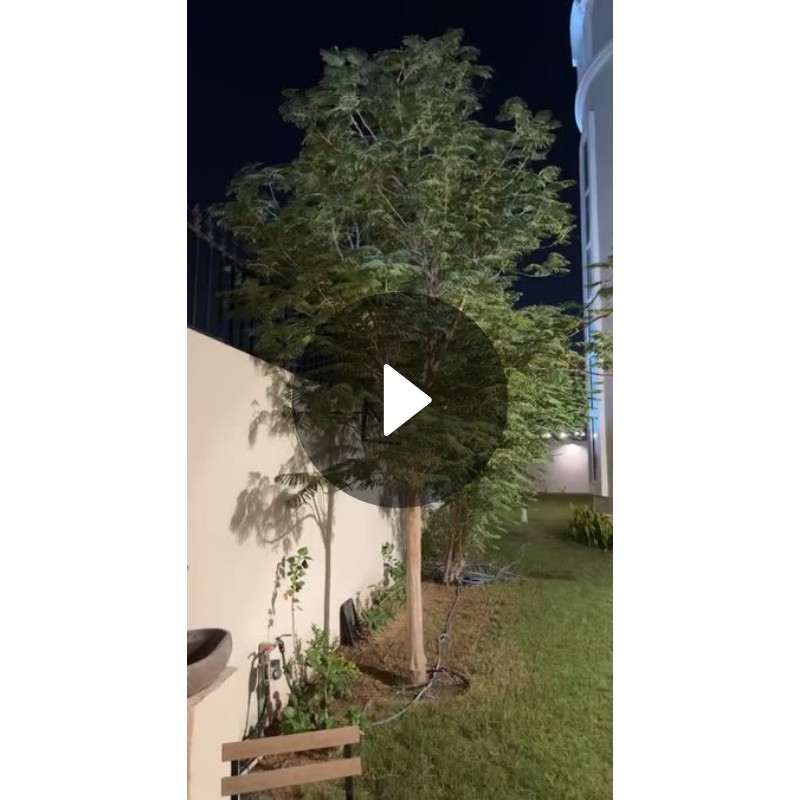 uae_yes | Spotlight on Snapchat