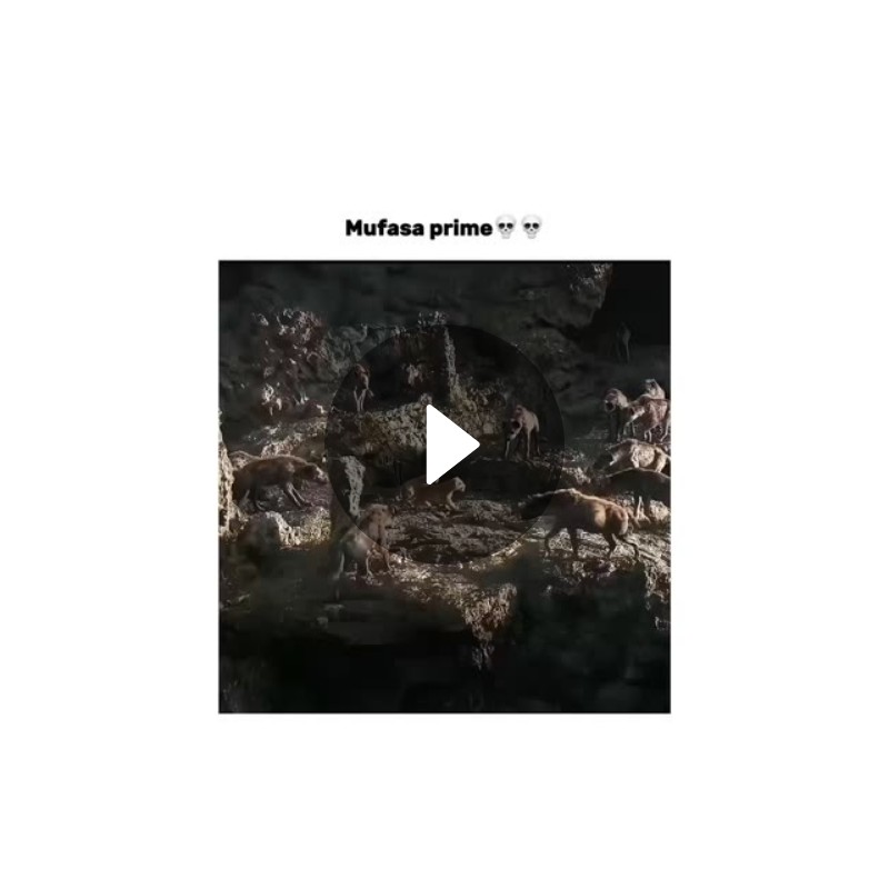 #lionking #movie | Rolly 🐈‍⬛ (@r0llythecreator) | Spotlight