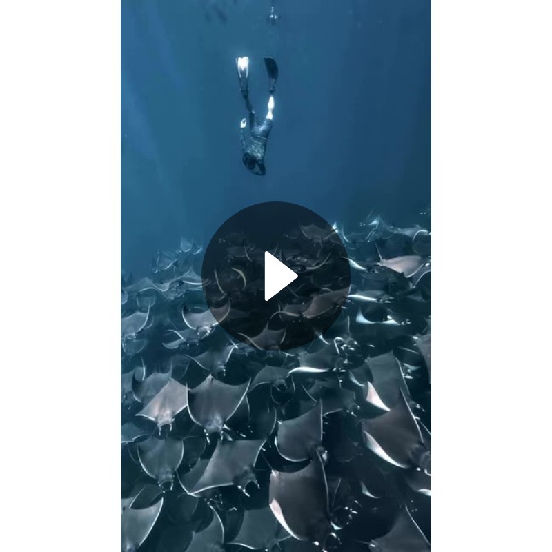 kk.dxb2 | Spotlight on Snapchat