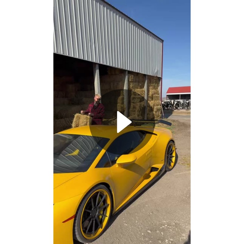 Worlds first cow in Lamborghini | Kyle Redekopp (@kyleredekopp) | Spotlight