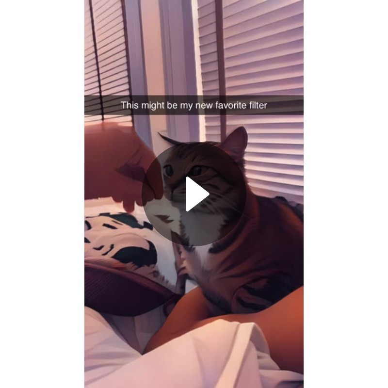 Jada 💌 (@s3ndingyoulove) | Cute cats with a fun filter effect. | Spotlight