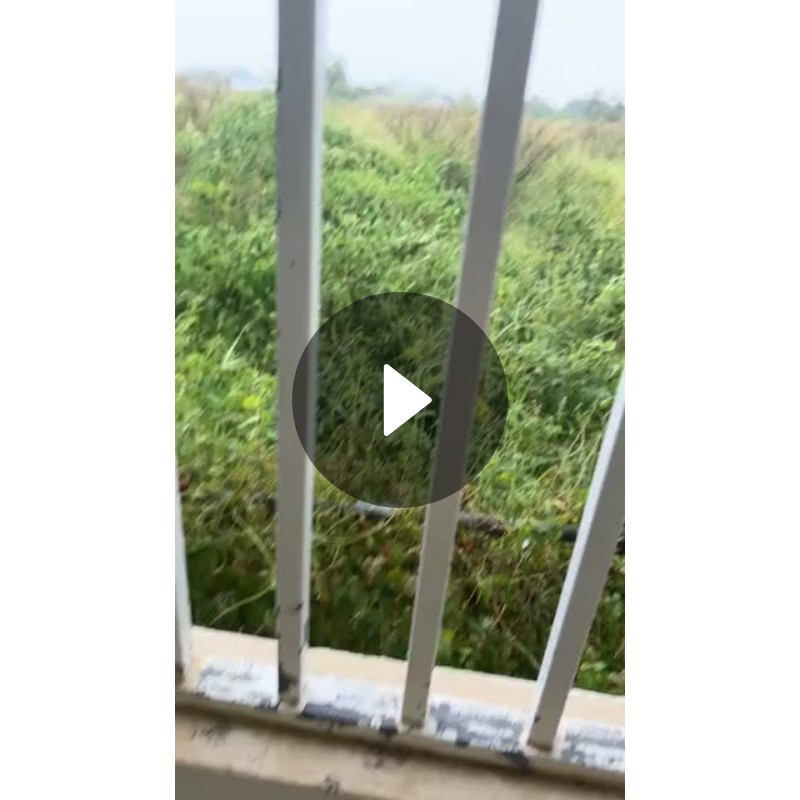 michael_baitz | Spotlight on Snapchat