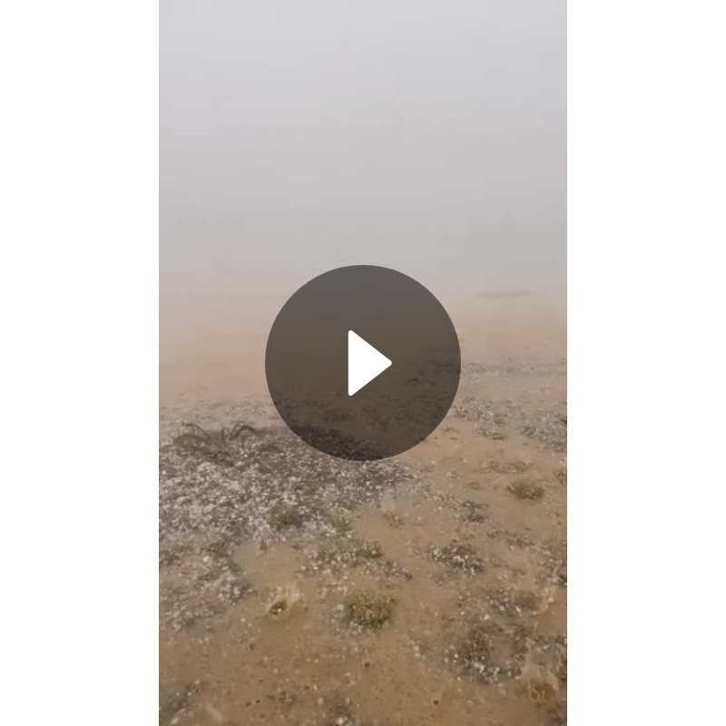 ssaad_algazi | Spotlight on Snapchat