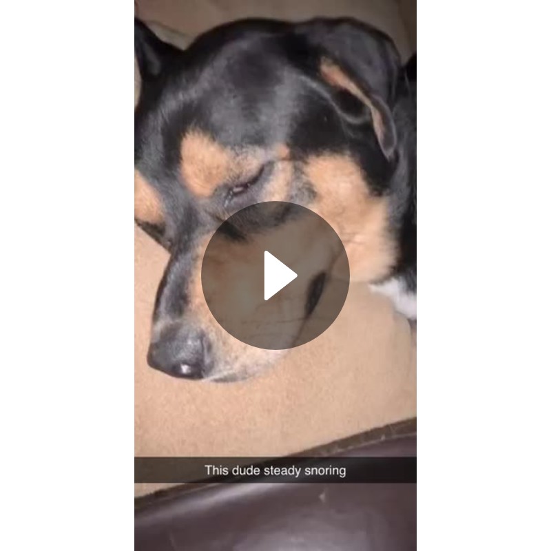 This dude steady snoring | Spotlight on Snapchat