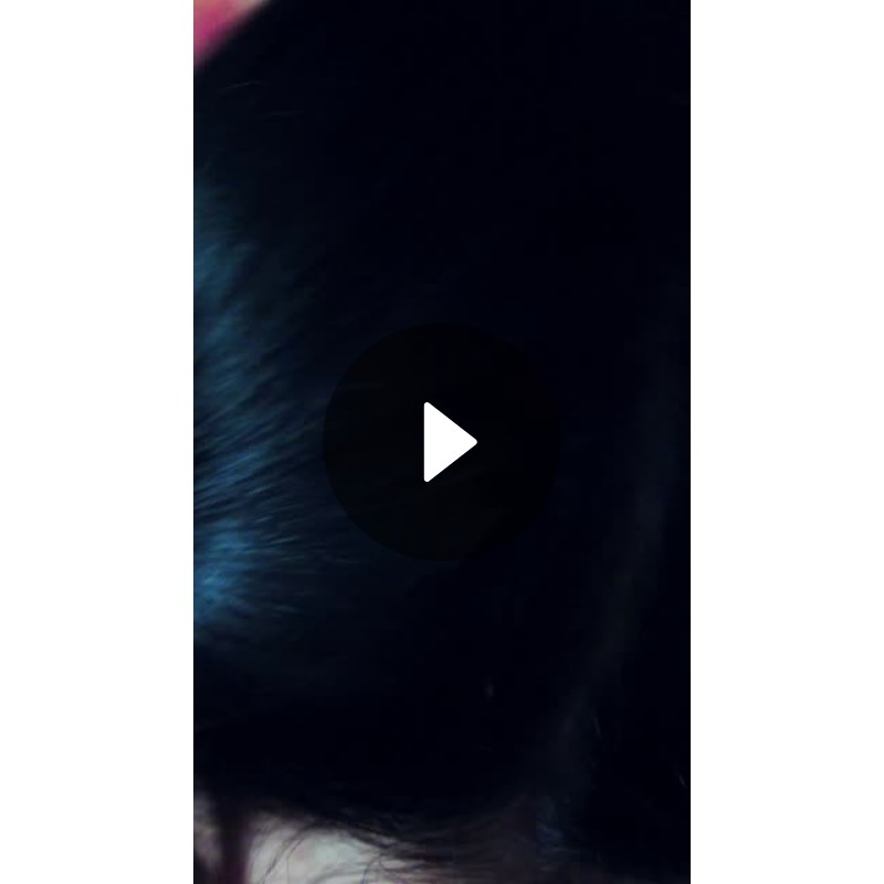 netflix | Spotlight on Snapchat