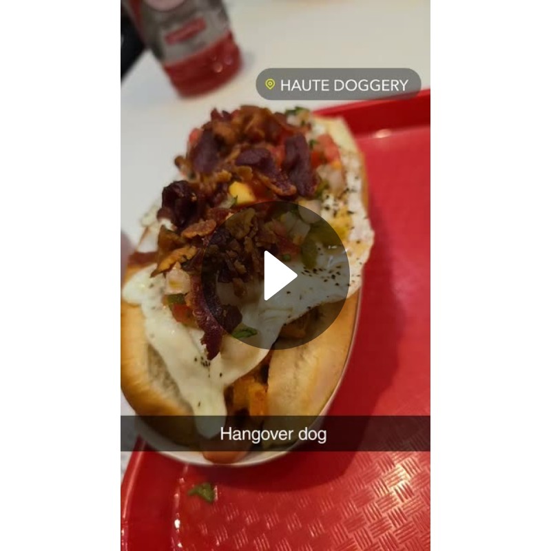 Hangover dog | Spotlight on Snapchat