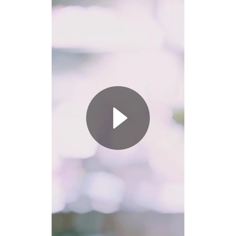 mrashux24 | Spotlight on Snapchat