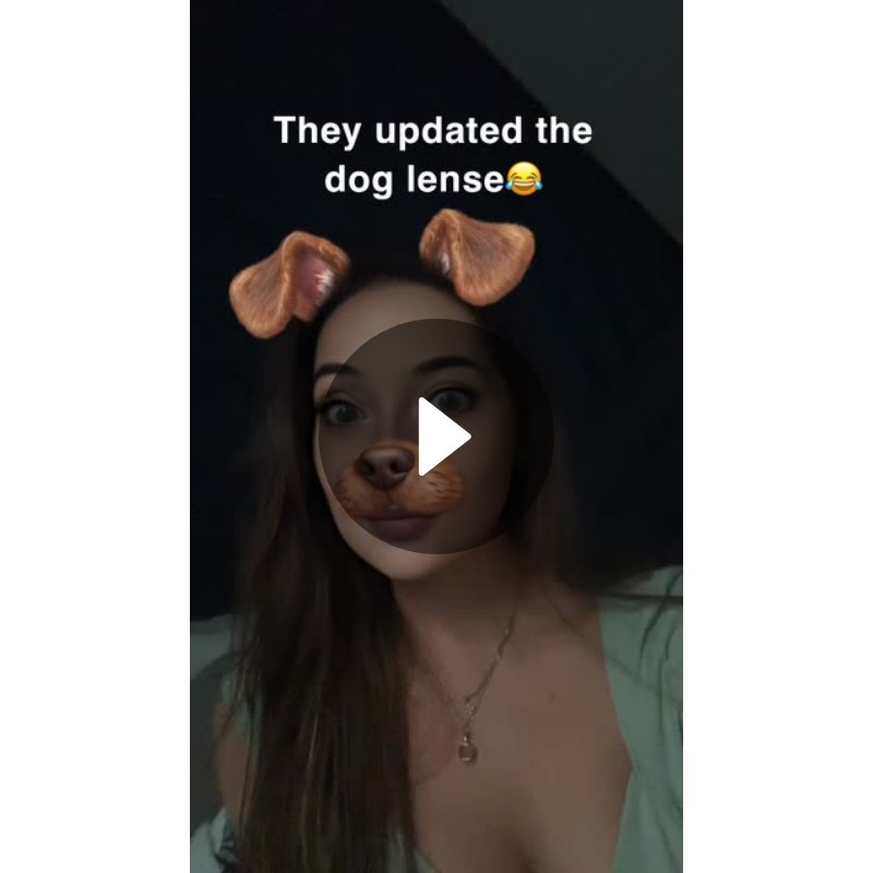 They updated the dog lense😂 | Spotlight on Snapchat