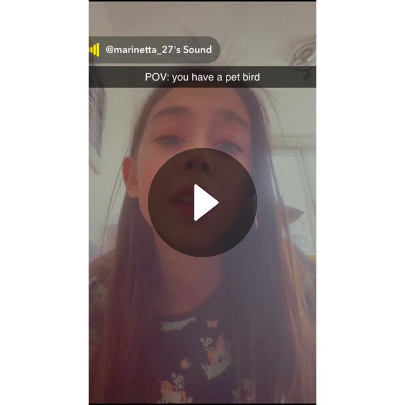 POV: you have a pet bird | Spotlight on Snapchat