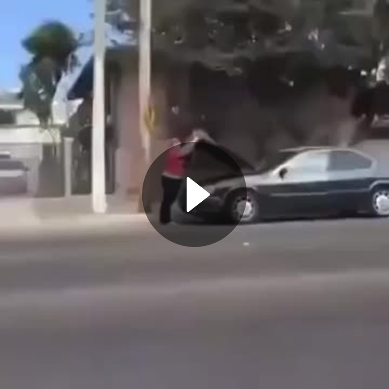 taipan-1 | Spotlight on Snapchat