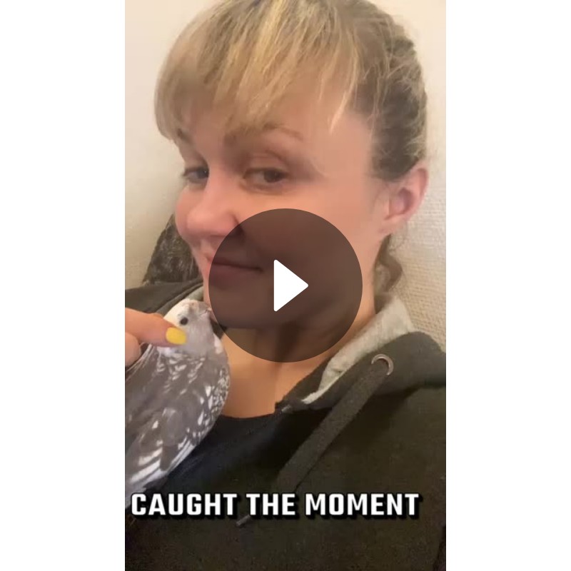 CAUGHT THE MOMENT | Spotlight on Snapchat